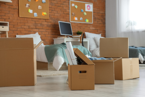 7 Steps for a Stress-Free College Move-Out | Gamecock Family Hub